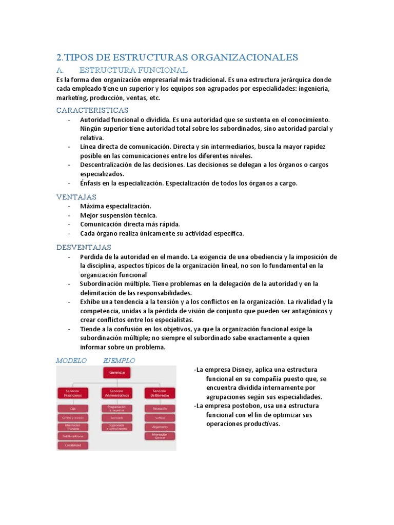 Tipos de estructuras organizacionales y sus características | PDF ...