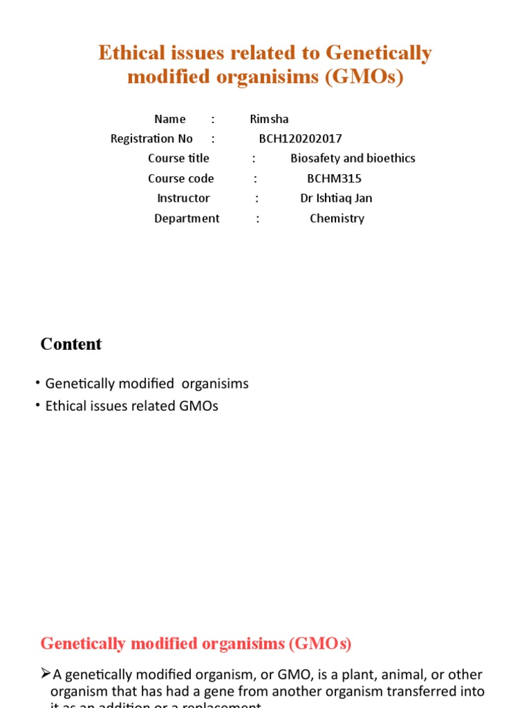 Ethical Issues of GMOs Explained | PDF | Genetically Modified Organism ...