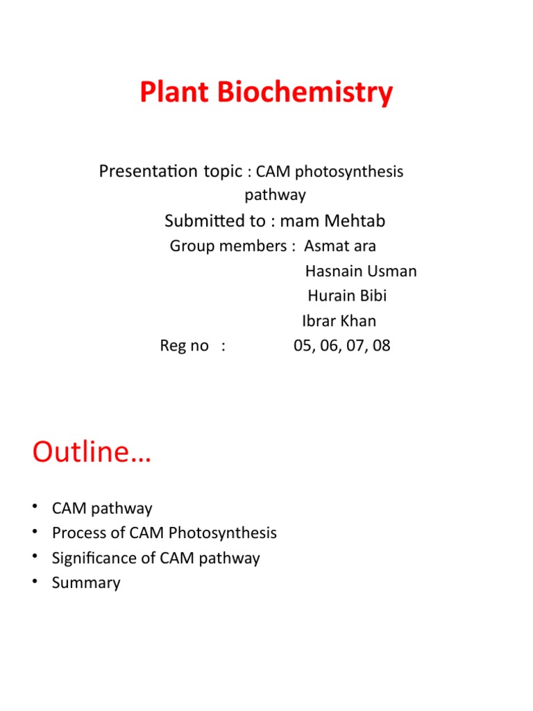 Plant Biochemistry Presentation .... Asmat Ara | PDF | Metabolism ...