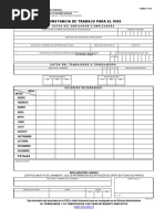 Formato 14 - 100 IVSS | PDF