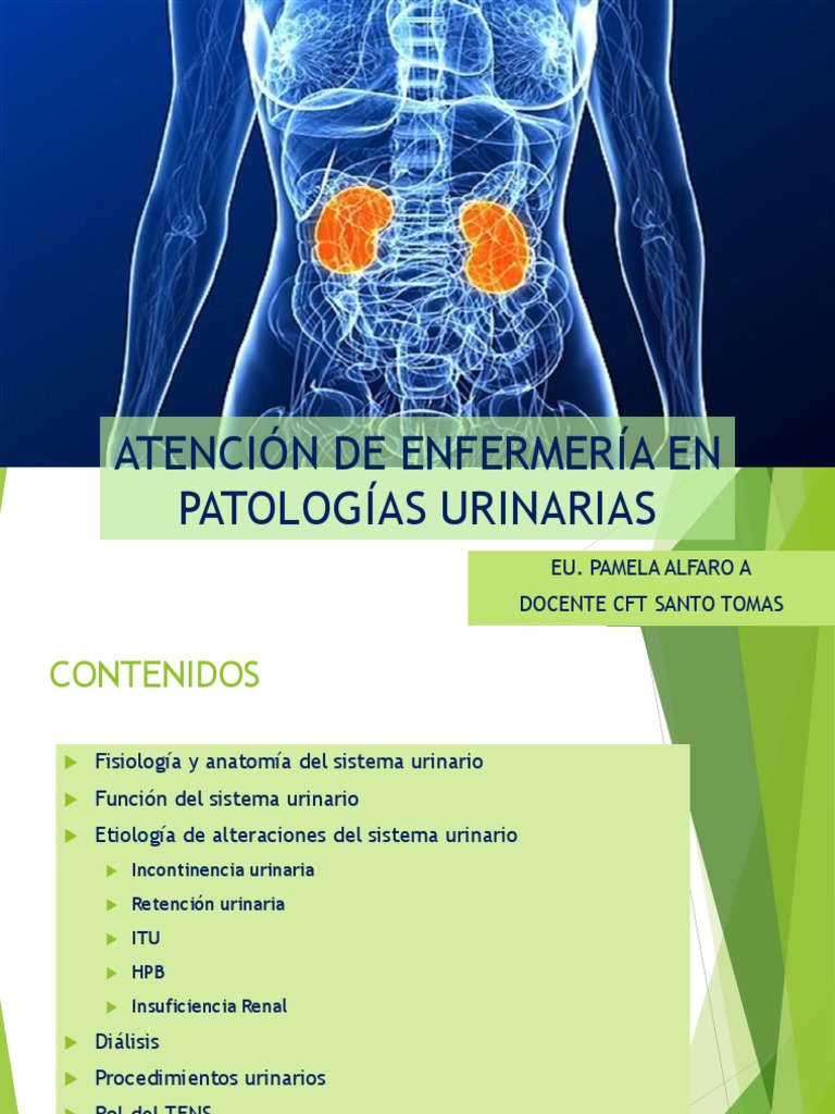 Alteraciones del sistema urinario_EMQ_pame_20 | PDF | Vejiga urinaria ...