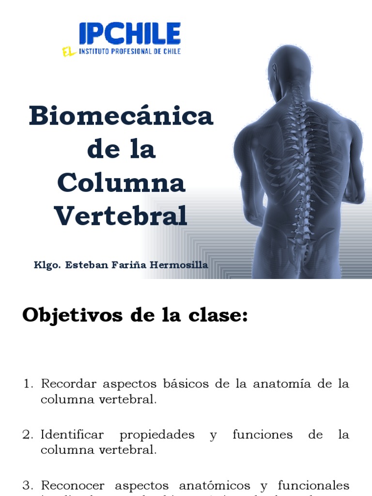 Clase 1 - Bases Biomecaì Nicas de La Columna Vertebral | Descargar gratis PDF | La columna ...