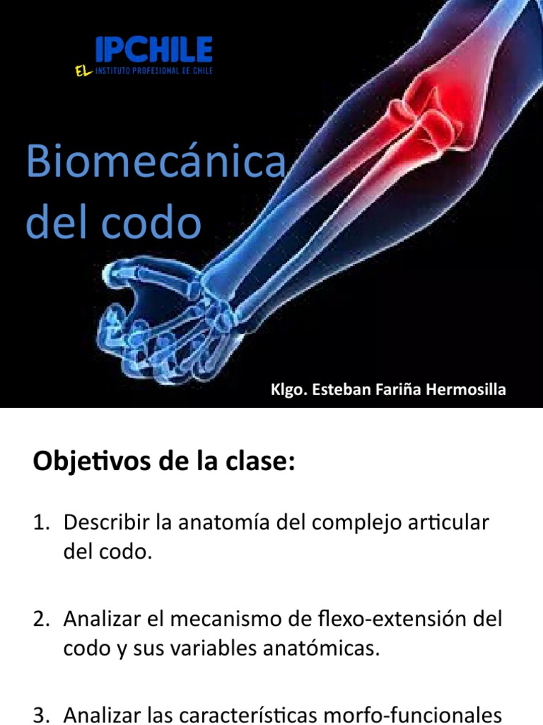 Clase 8 - BMC Codo | PDF | Codo | Sistema musculoesquelético