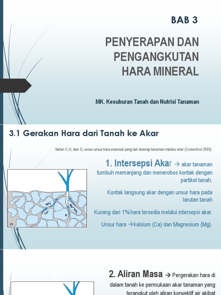 Mekanisme Penyerapan Hara oleh Tanaman | PDF