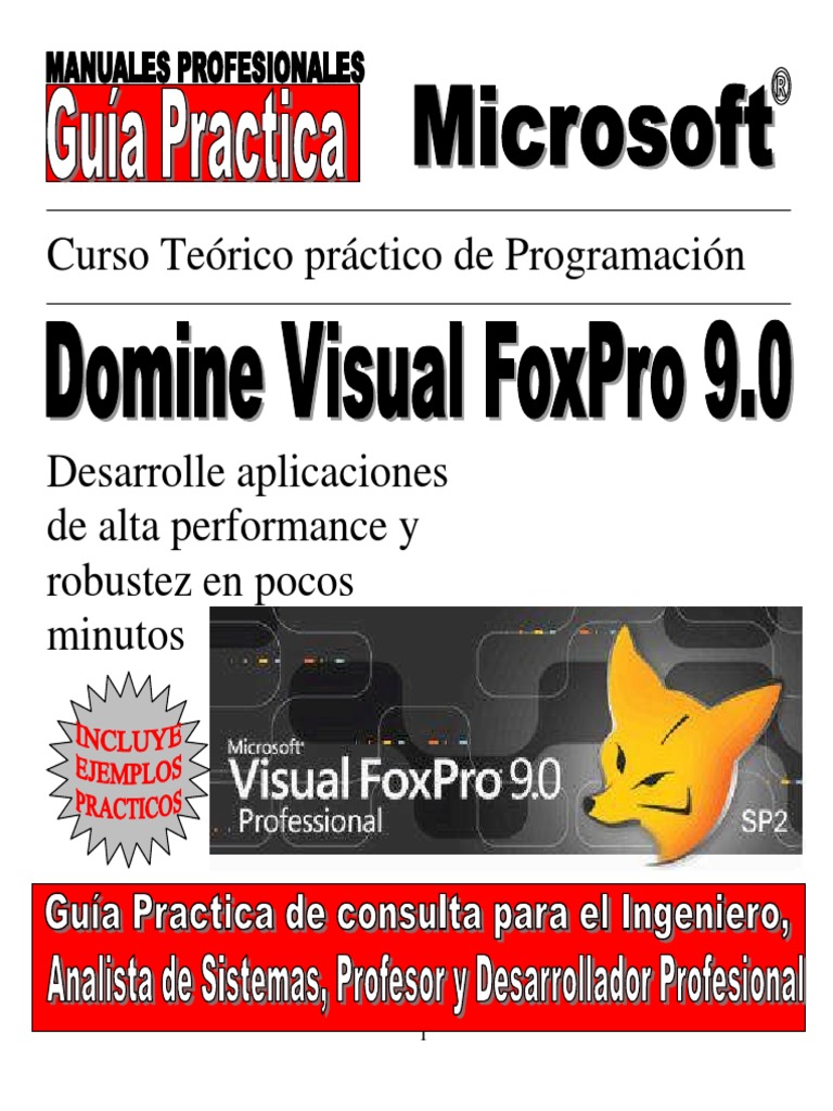 Curso de Programación en Visual FoxPro | PDF