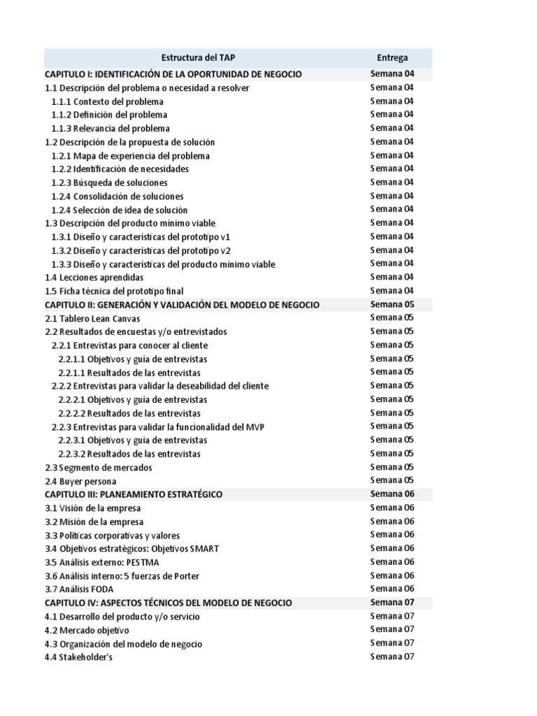 Estructura Del TAP | PDF | Modelo de negocio | Marketing