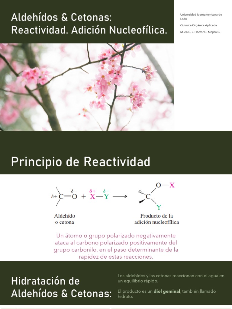 Grupo Carbonilo. Reacciones de Adición Nucleofílica | PDF | Cetona ...