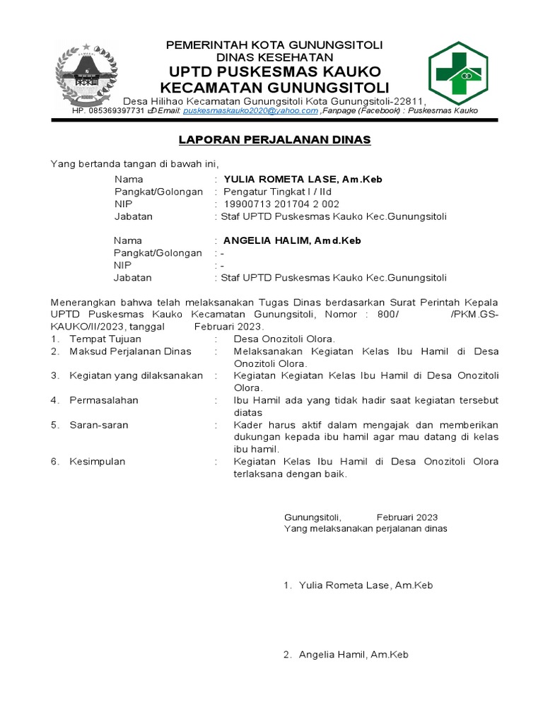 Contoh Format LPD PUSKESMAS 2023 | PDF