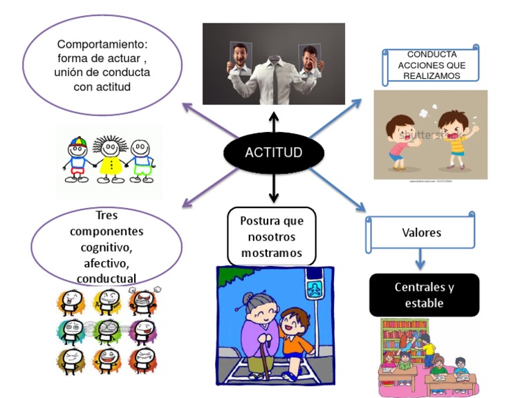 Componentes de la Actitud y Conducta | PDF