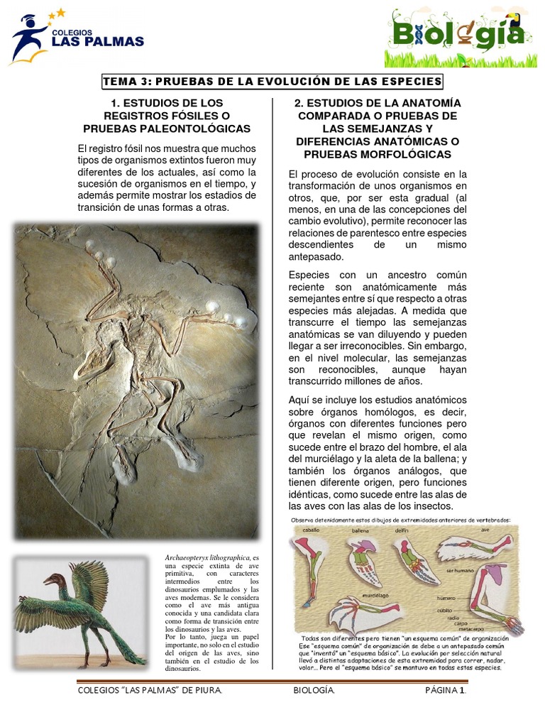 Biologia - Clase Teorica 3 | PDF | Organismos | Evolución