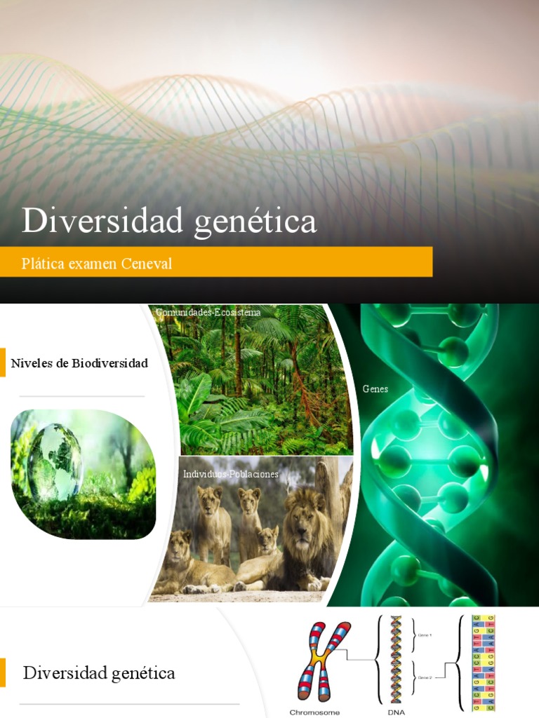 Diversidad Genética | PDF | Alelo | Gene