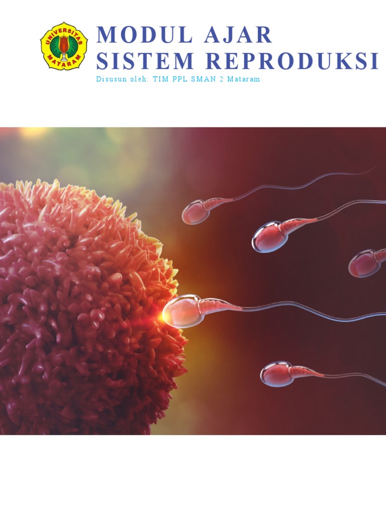 Modul Ajar Sistem Reproduksi | PDF