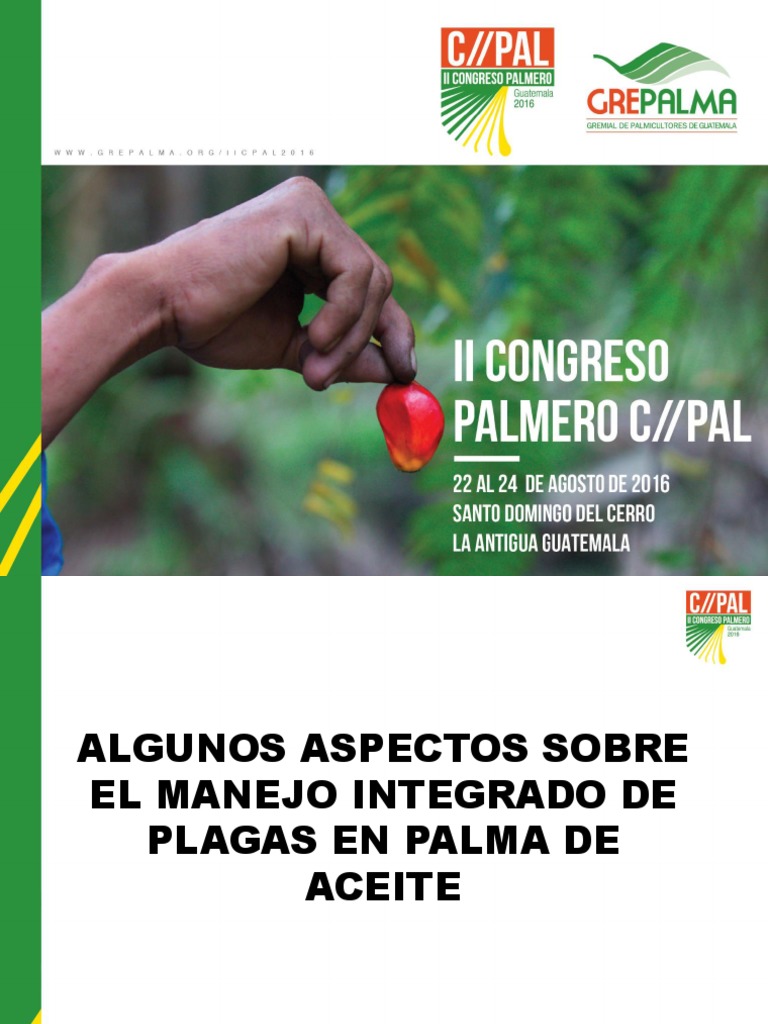 Umbral de Plagas en Palma de Aceite | PDF | Plaga (organismo) | Insectos