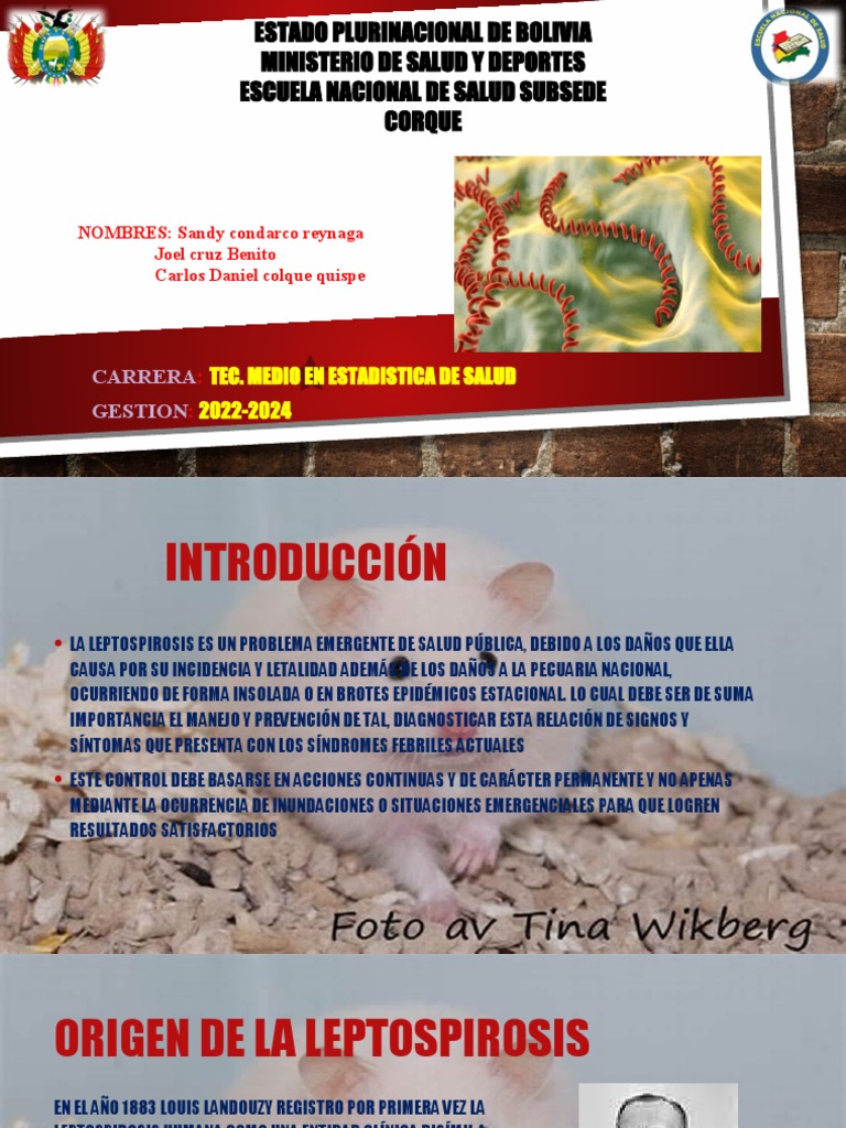 Leptospirosis 2023 | PDF | Especialidades Medicas | Medicina CLINICA