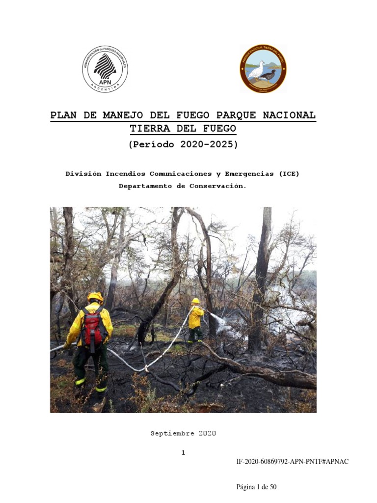 Plan de Manejo Del Fuego 2020-2021 | PDF | Fuego fatuo | Incendios