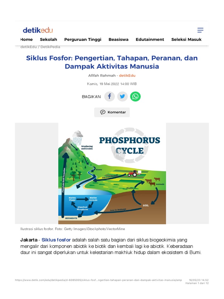 Siklus Fosfor: Tahapan dan Dampak | PDF