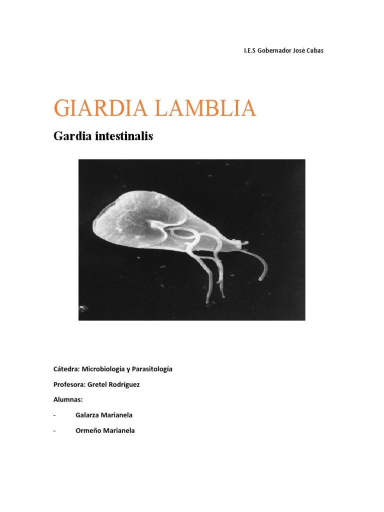 Gardia Lamblia Microbiología | PDF | Especialidades Medicas | Medicina ...