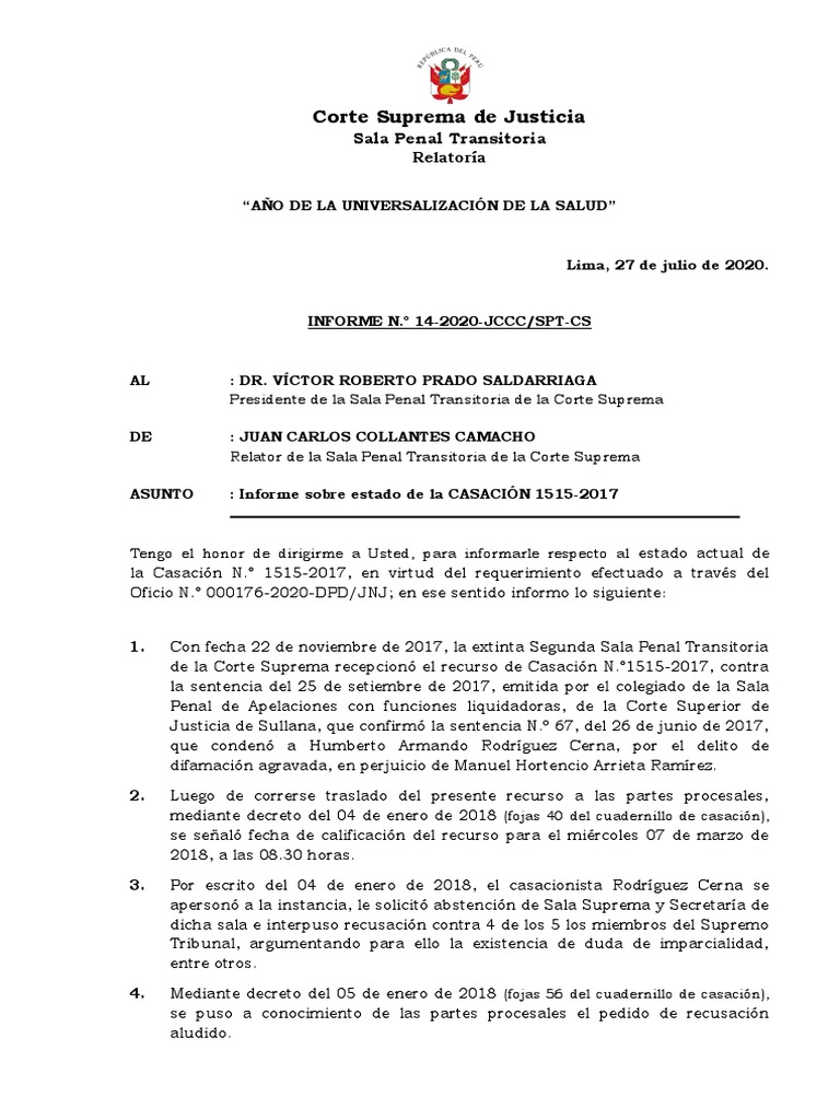 Modelo Informe | PDF