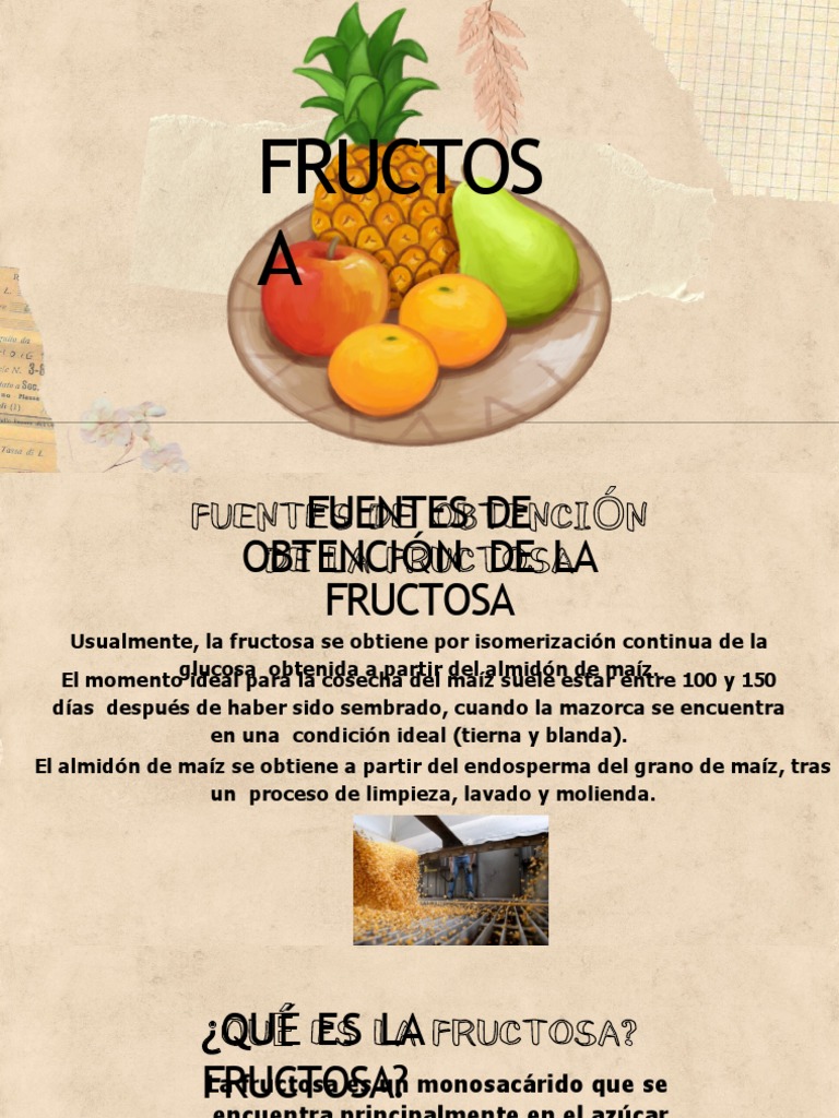 Fructosa | PDF | Fructosa | Glucosa