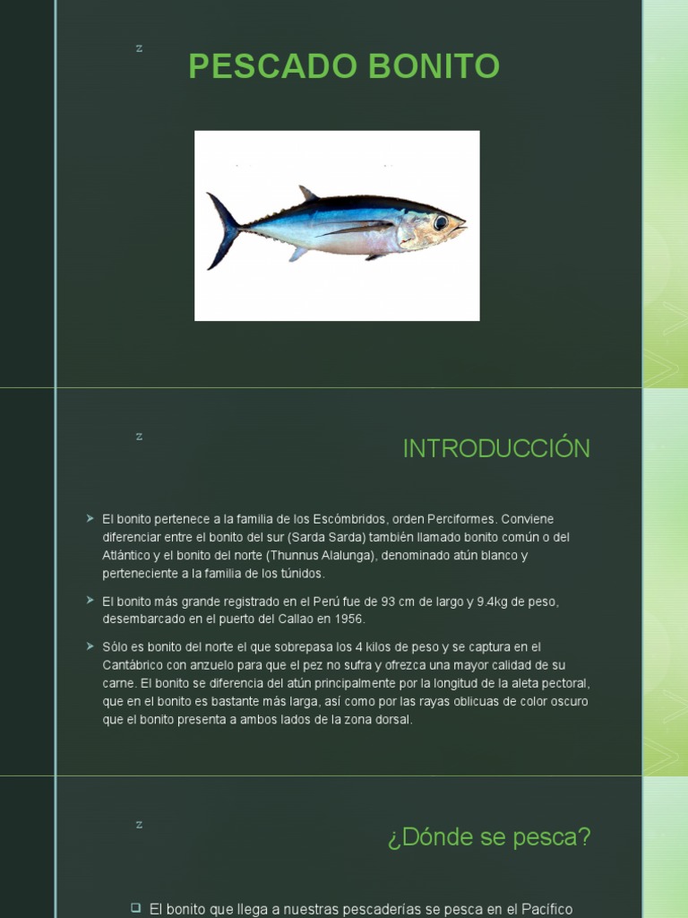 Pescado Bonito | PDF | Alimentos | Comida y bebida