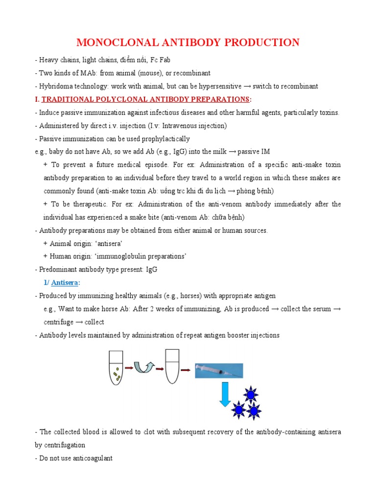 Monoclonal Antibody Production | PDF | Monoclonal Antibody | Antibody