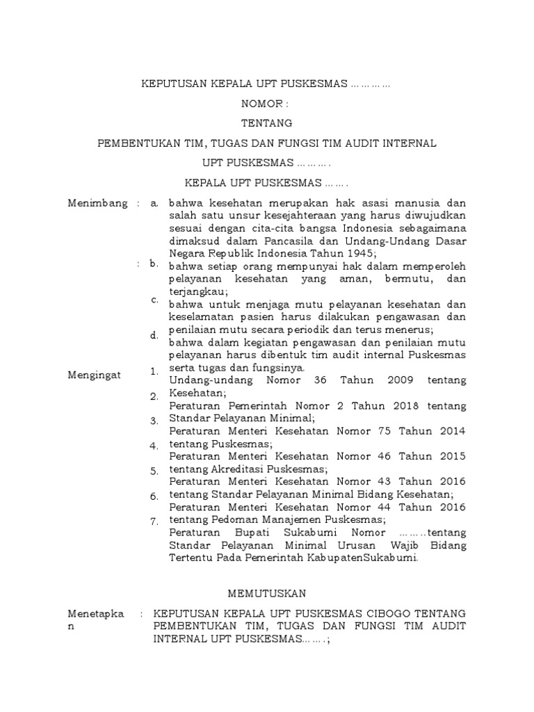 SK Tim Audit Internal | PDF