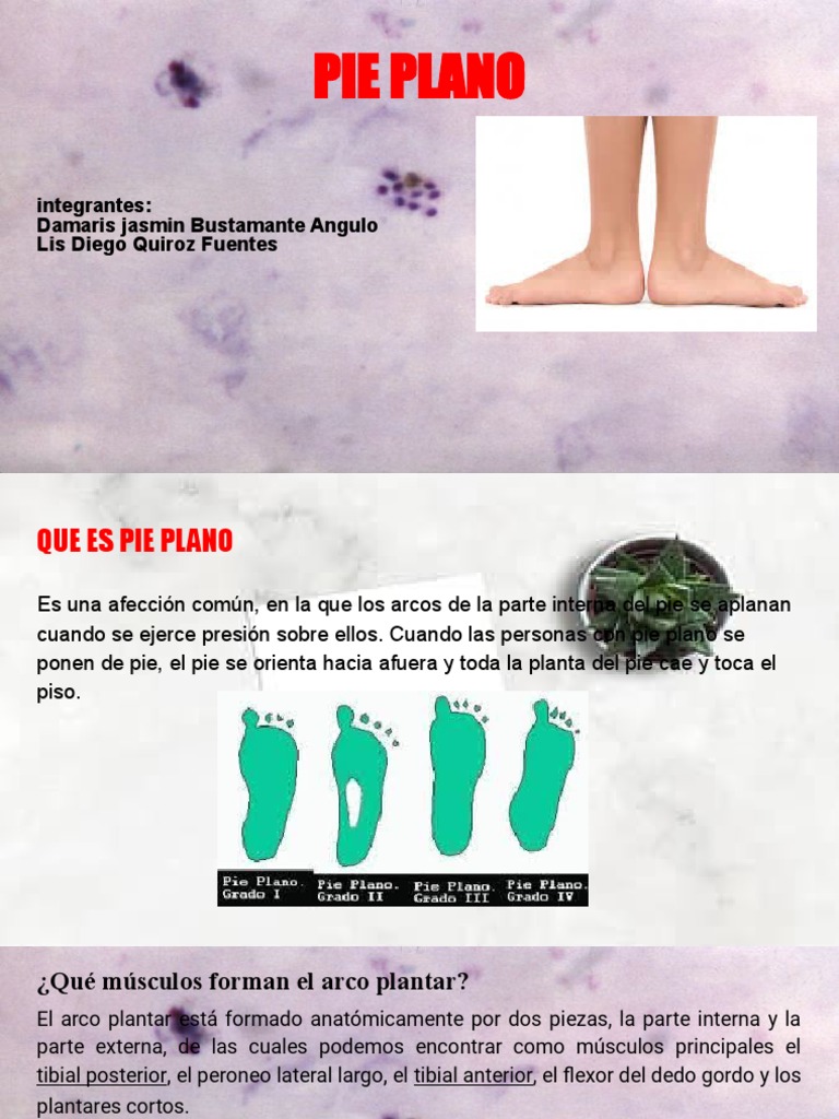 Pie Plano | PDF | Pie | Anatomía humana