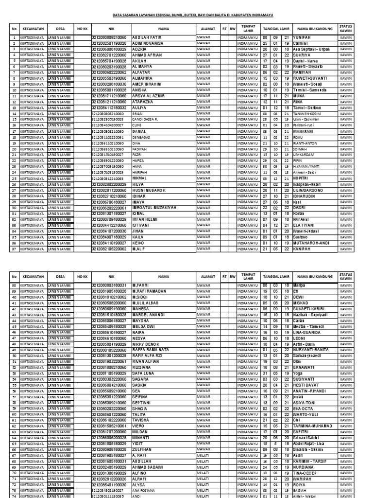 Data Bumil, Buteki, Balita 2023 Larangan Jambe | PDF