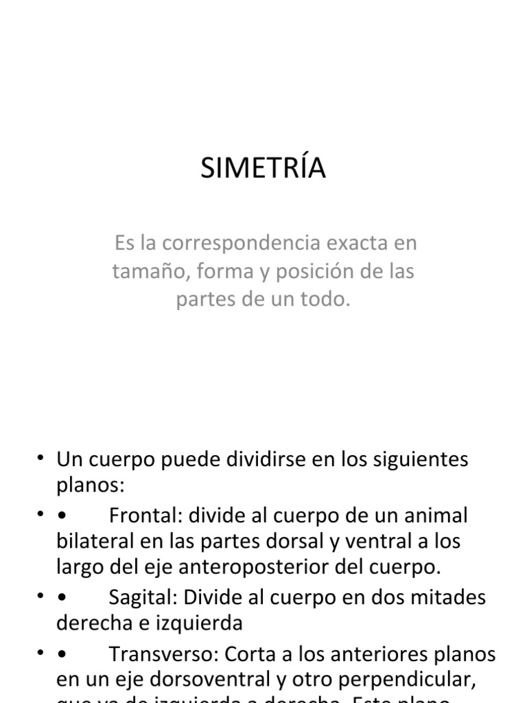 Simetría en Animales: Tipos y Ejemplos | PDF | Simetría | Anatomía