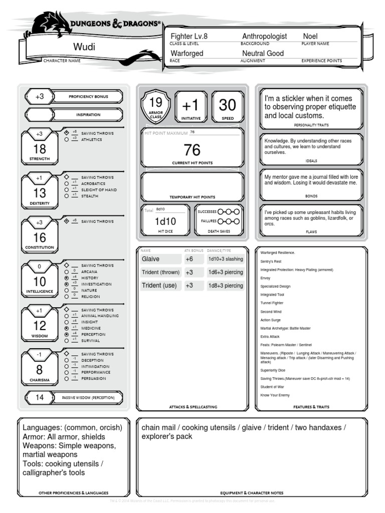 D&D Character Sheet Template | PDF | Role Playing Games