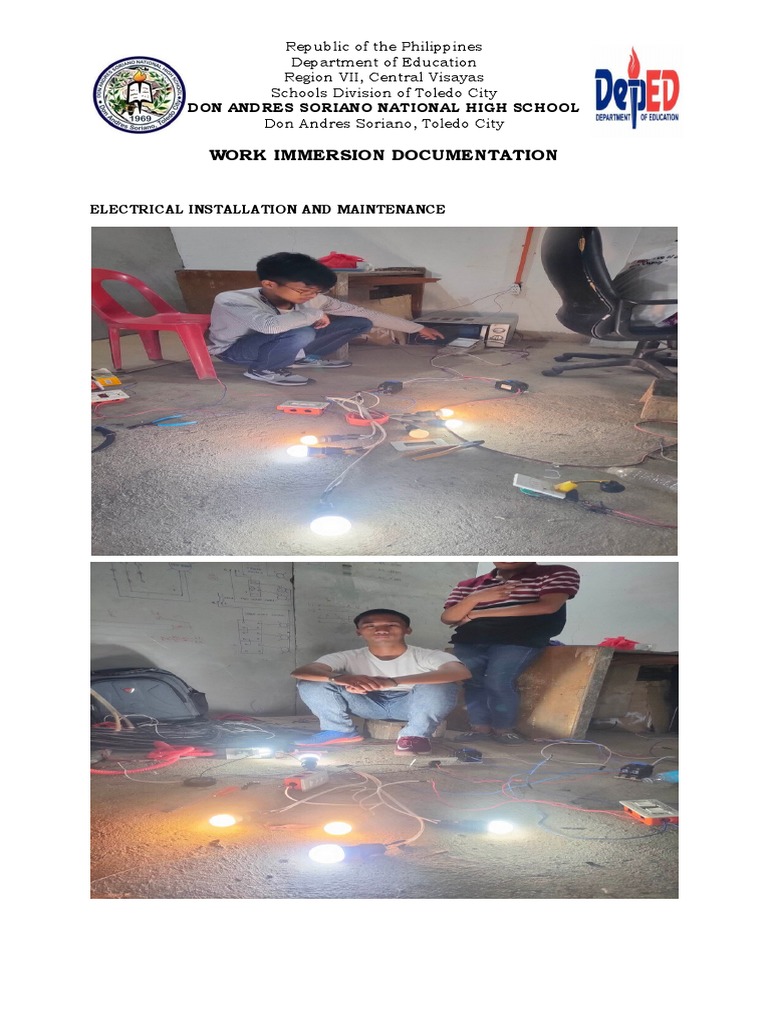 Work Immersion Documentation | PDF