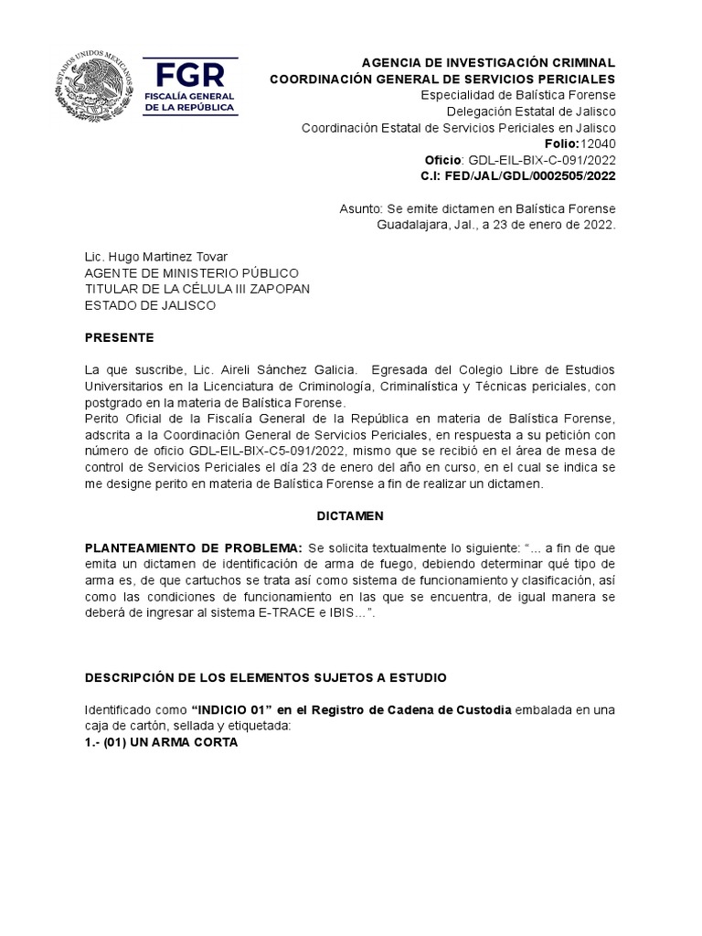 Ejemplo De Dictamen De Balistica