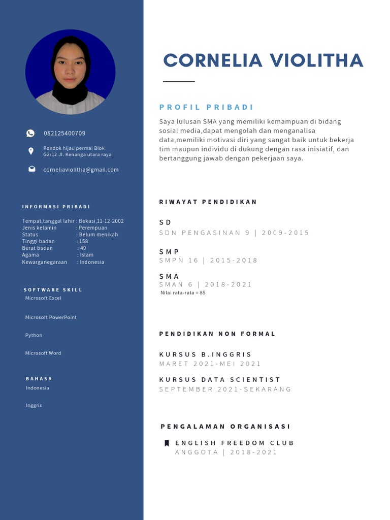 Curriculum Vite Vivi | PDF