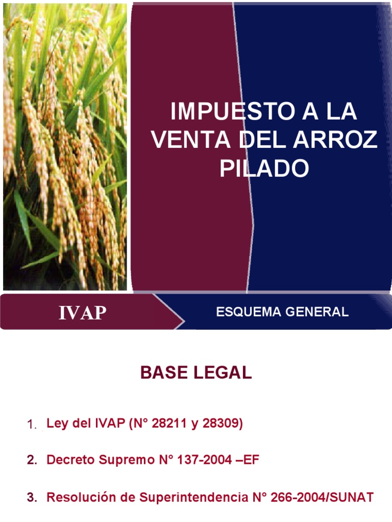 IVAP | PDF | Impuestos | Economias