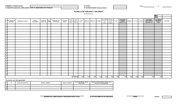 Formato Planilla Mensual | PDF | Labor