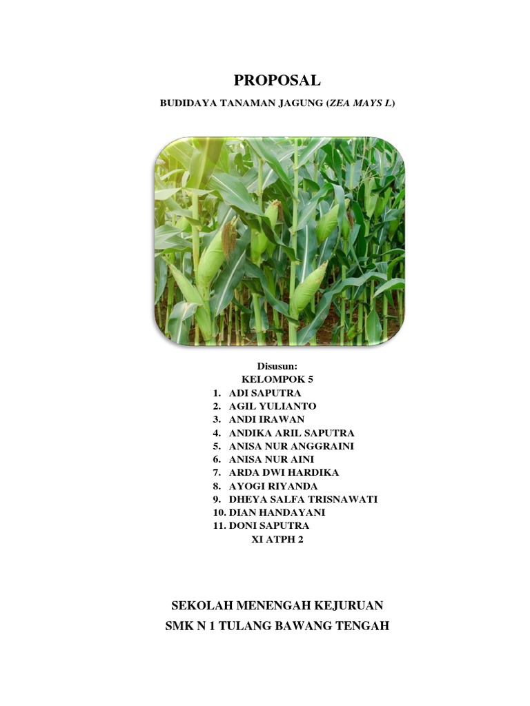 Proposal Budidaya Tanaman Jagung Kelompok 5 Rev | PDF
