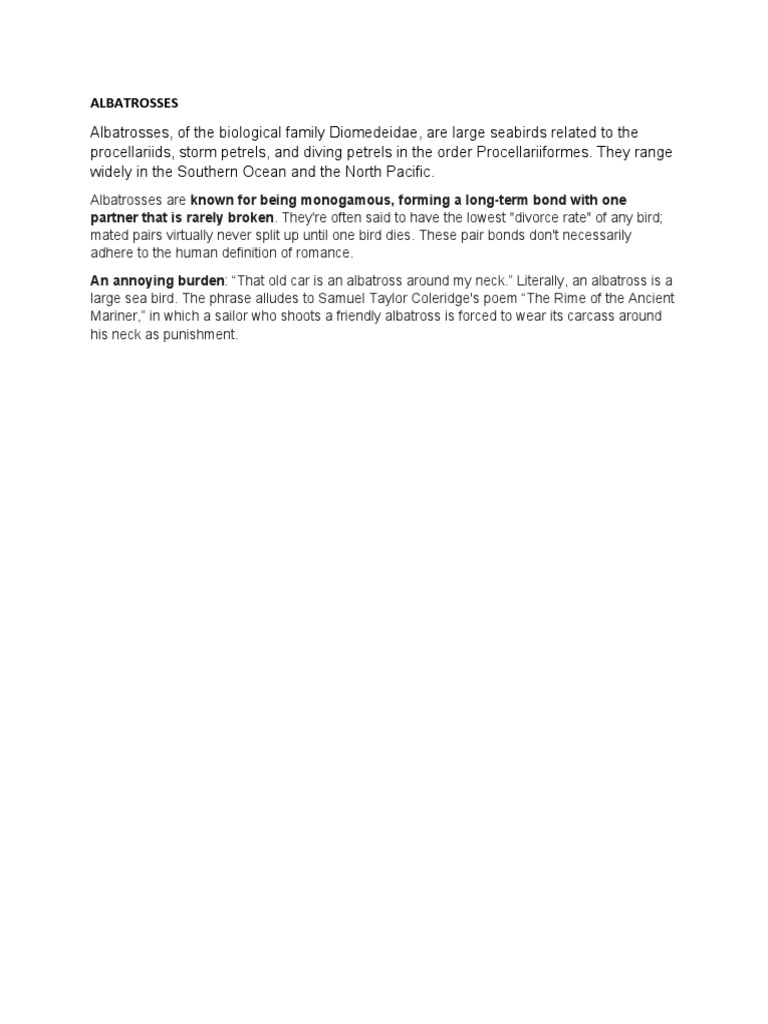 Albatrosses: Monogamous Seabirds | PDF | Poetry