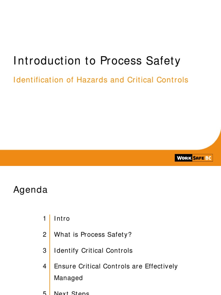 Introduction To Process Safety Identification of Hazards and Critical ...