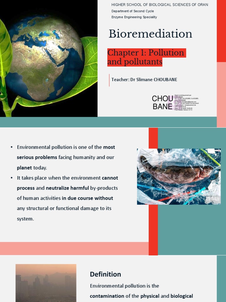 Chapter 1 Pollution and Pollutants (2) | PDF | Water Pollution | Air ...