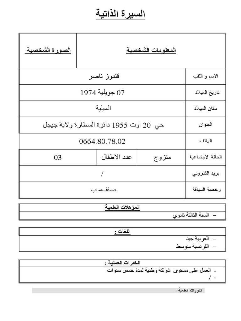 Arabic CV 2 | PDF