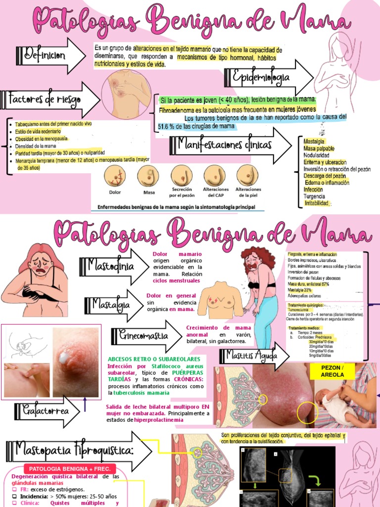 Patologias Benignas De Mama Pdf Pecho Cáncer De Mama