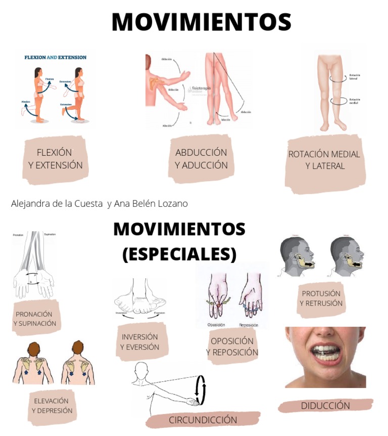 MOVIMIENTOS | PDF
