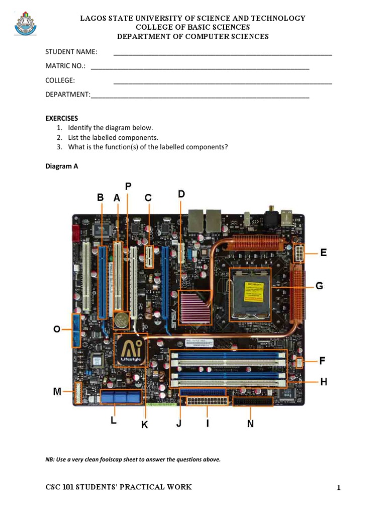 CSC101 Practical Task 2 | PDF