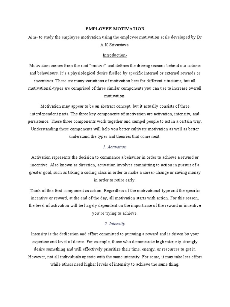 Employee Motivation | PDF