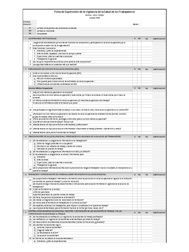 Ficha de Supervision SST Anexo 05 RM 312 - 2011-Minsa | PDF | Seguridad ...