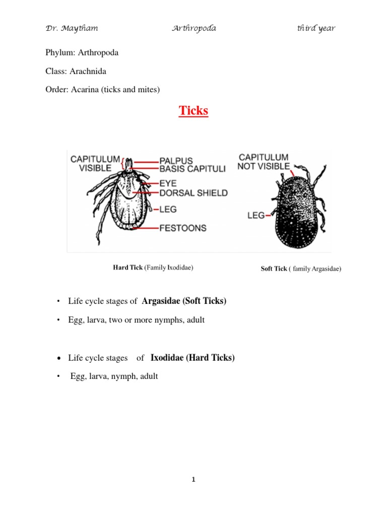 Arthropoda Lab. Ticks, Mites | PDF | Science & Mathematics