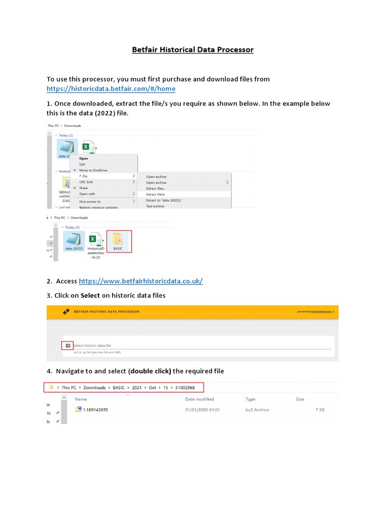 Betfair Historical Data Processor - Quick Guide | PDF