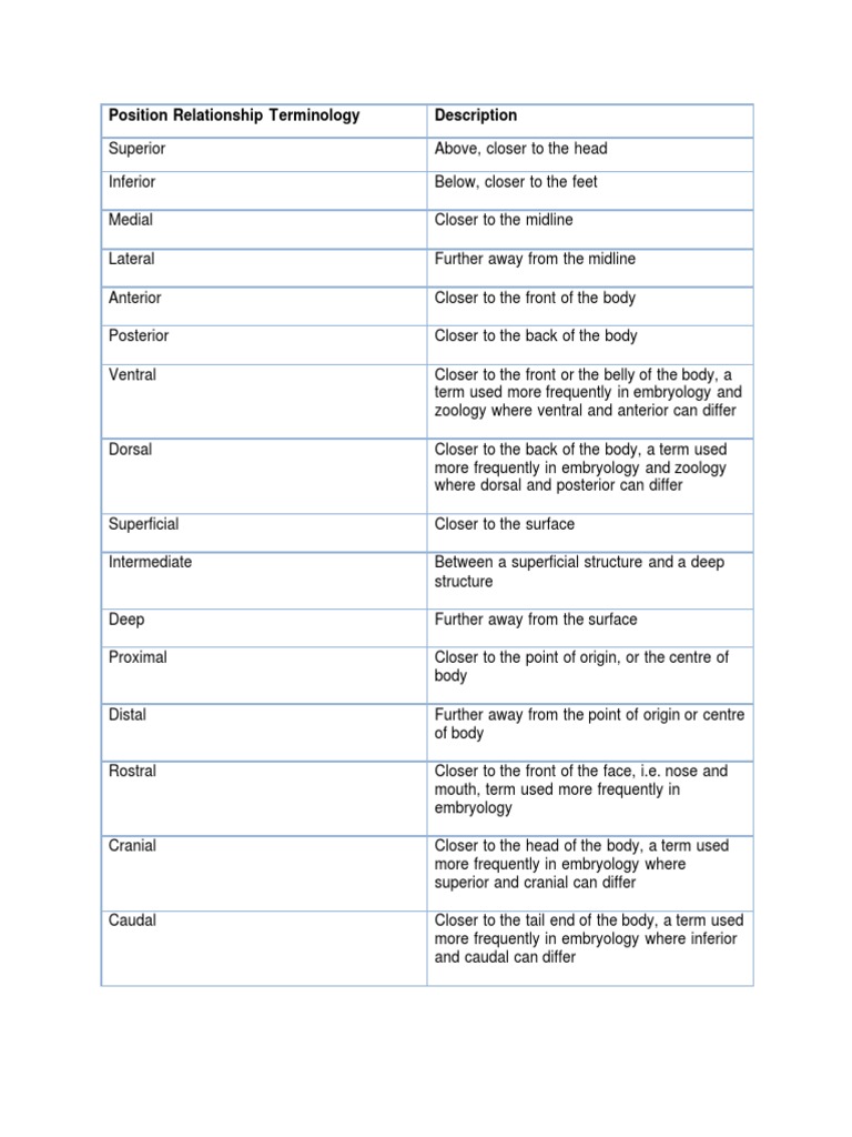 Terminology Tables | PDF