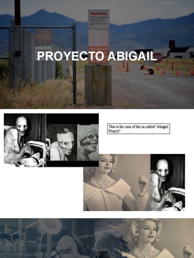 Proyecto Abigail | PDF