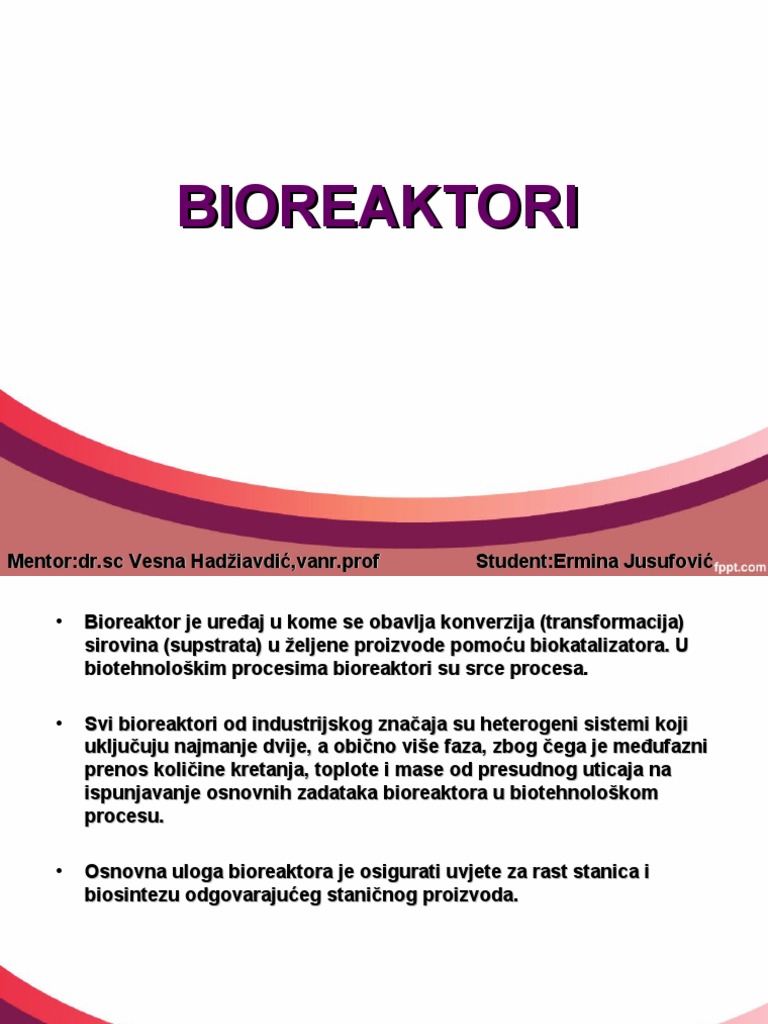 Bioreaktori | PDF